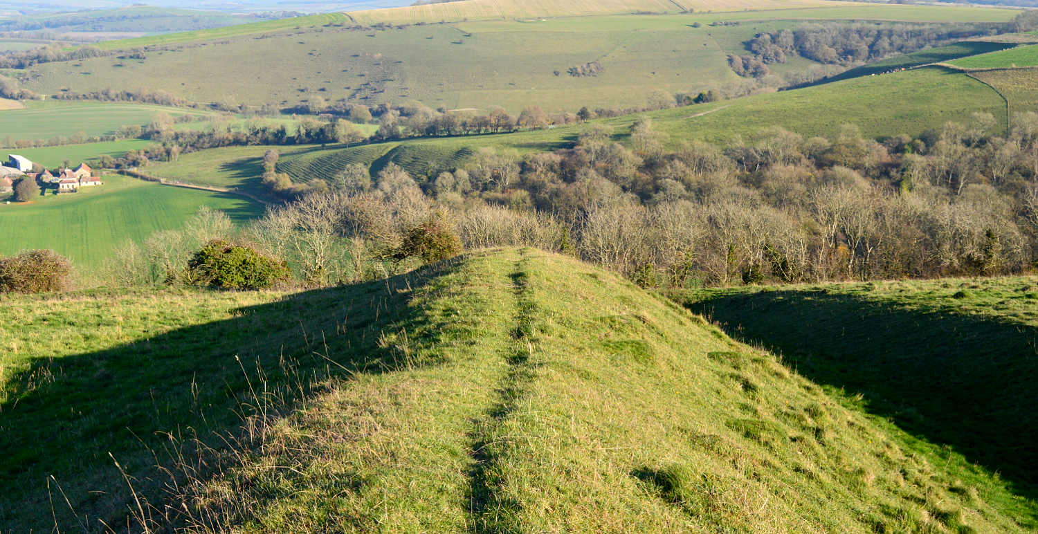 IF YOU GO DOWN TO THE WOODS TODAY....: Cranborne Chase and Winkelbury