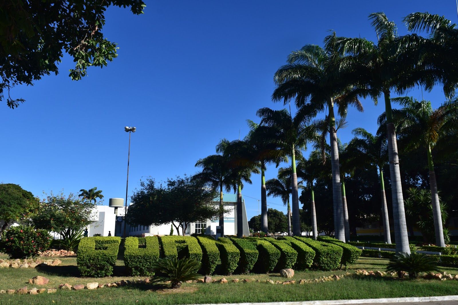 PLANO DIRETOR PARTICIPATIVO DE GUANAMBI: LEITURA DA CIDADE