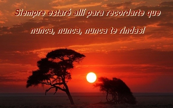 Imágenes de Amistad: Una Amistad Incondicional