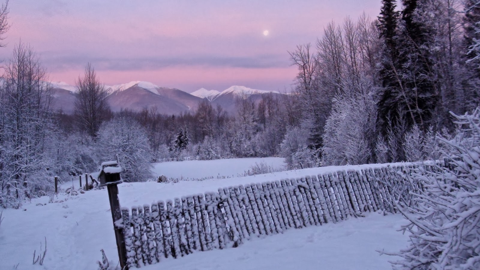 newblog-long-awaited-day-arrives