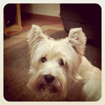 Championship Vinyl: Entrevista: Besta-Fera