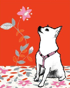 Alison Nowak Illustration Blog