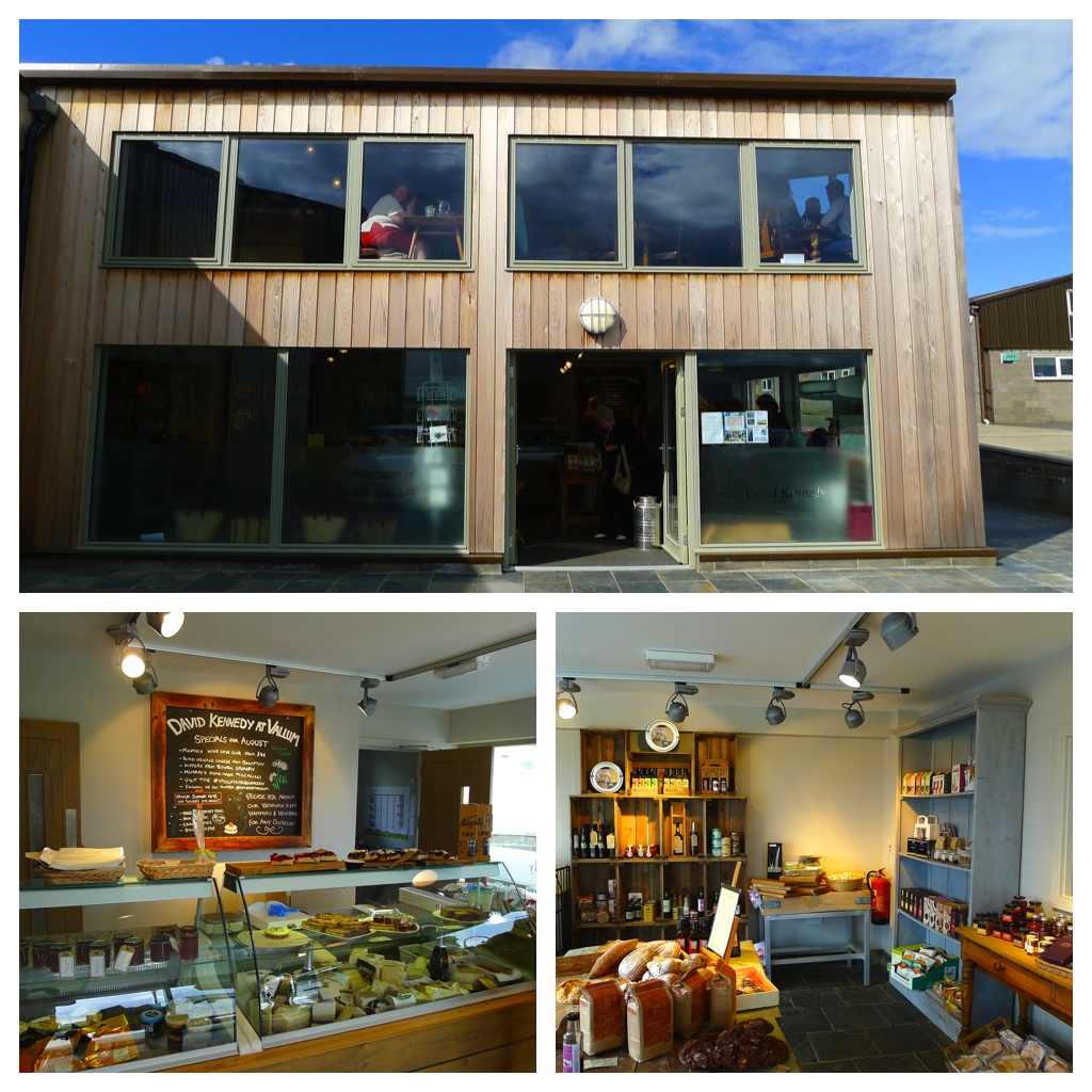 HUNGRY HOSS: David Kennedy at Vallum Farm, Newcastle