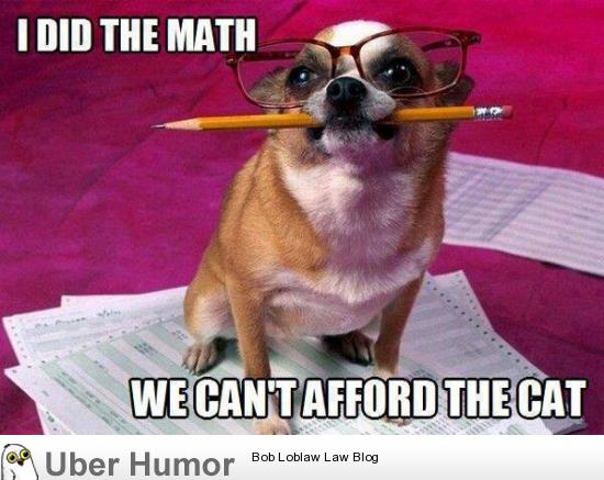 Strictly Viral: The Numbers don't lie.