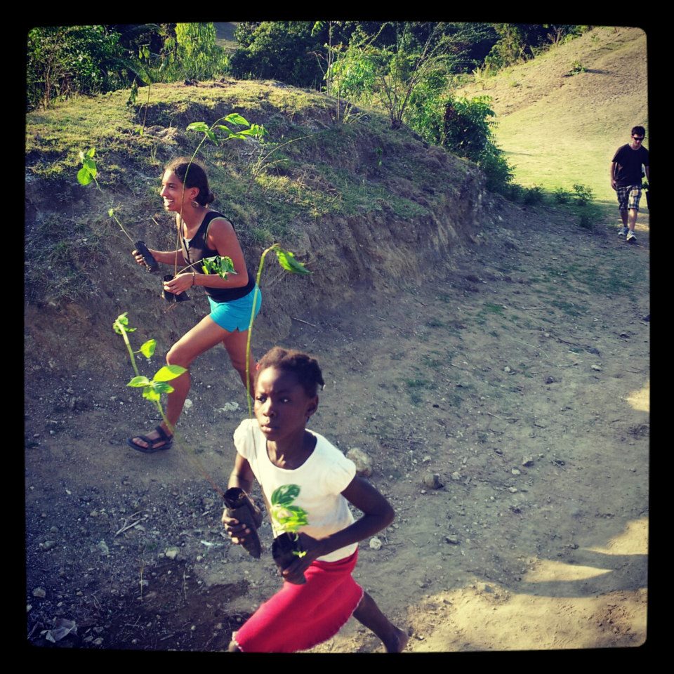 TVHS Haiti Reforestation Project: 999 Trees, Unquantifiable Growth ...