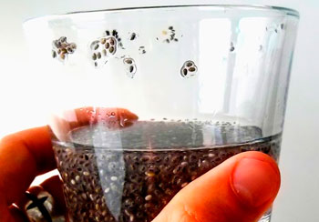 Comida Sana y Rapida: COMO CONSUMIR LA CHIA