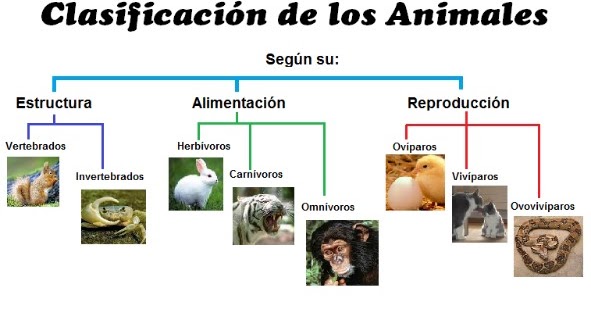 Tipos de Animales