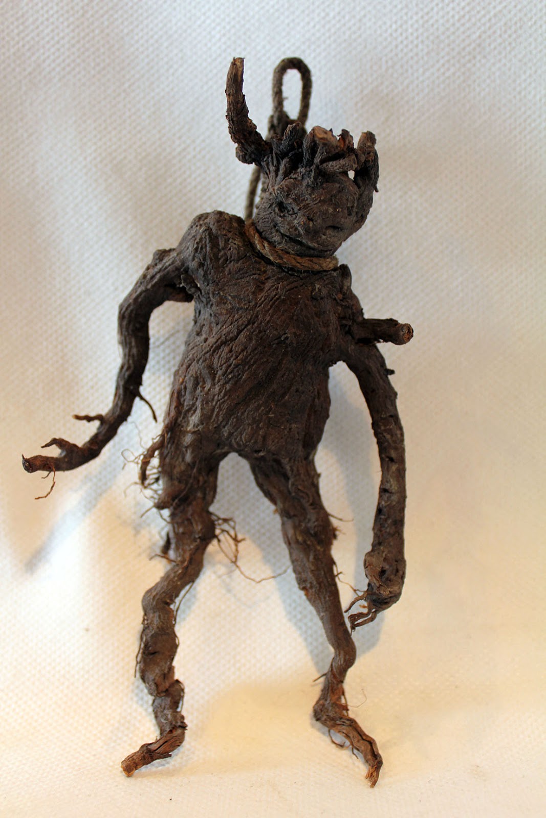 Curiomira: Mandragora- The Mandrake Root