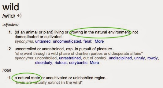 EdTech Workshop: 9 Tips for Teaching in the Wild