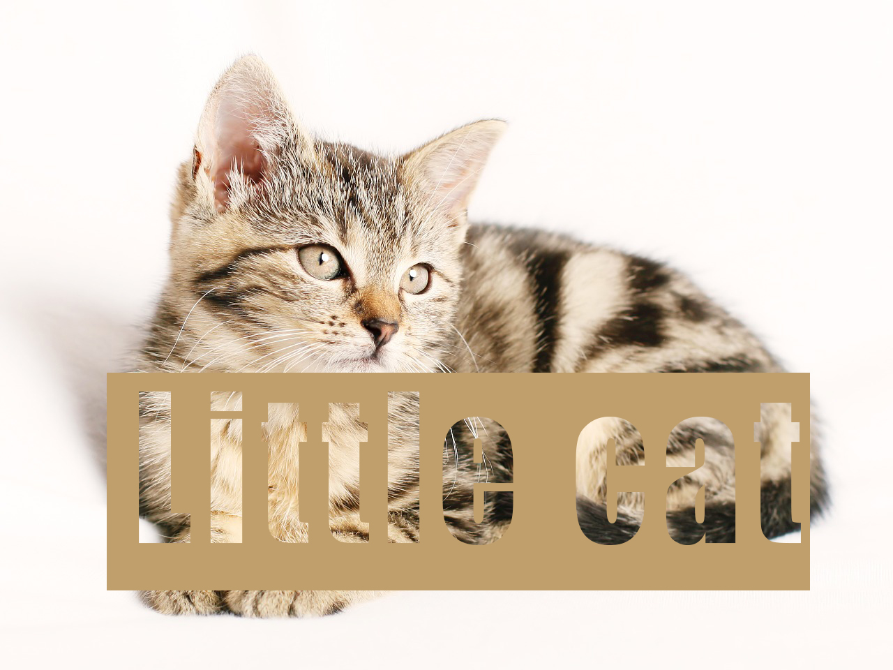 Hamperium Photography And Communication Photoshop Quicktip Knockout Text Effect In Photoshop