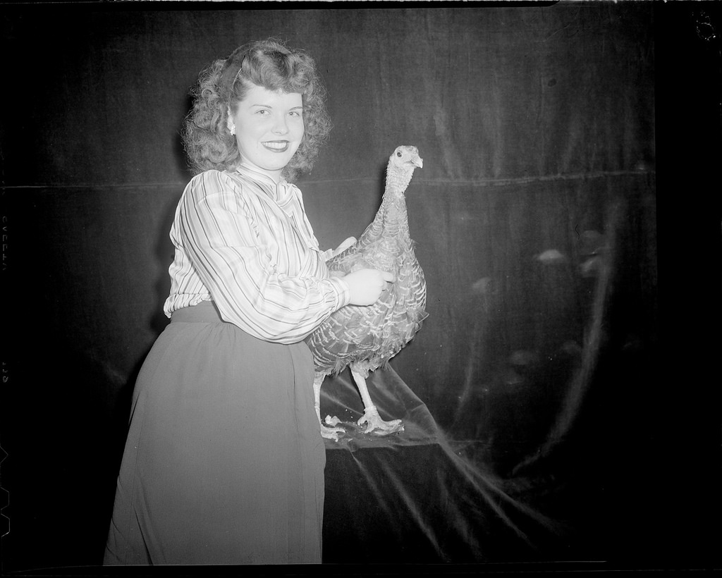 34 Fantastic Photos Capture Farm and Domestic Life of Boston from ...