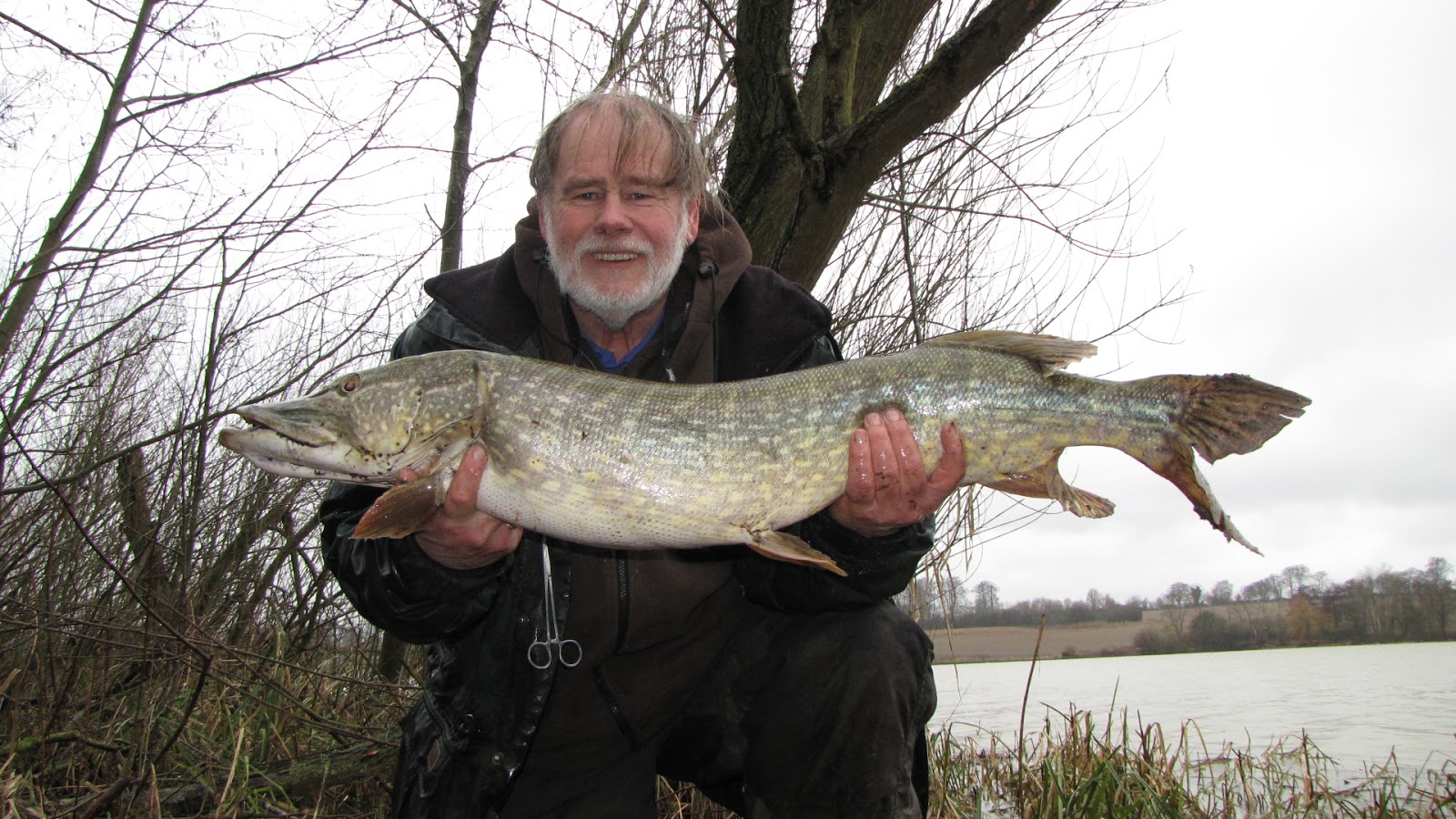 Travelling Man: Golden moments with very big pike.