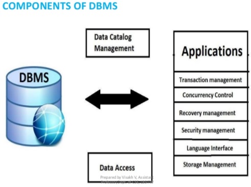 DBMS Principles for Dummies ~ Online School of Business and IT