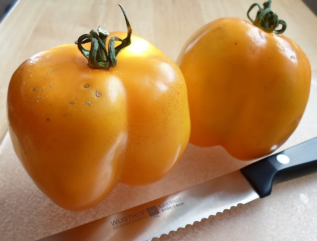 Happier Than A Pig In Mud: Yellow Stuffer Tomatoes and the Wusthof ...