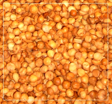 enero 2012 ~ Avellanas Huallepen