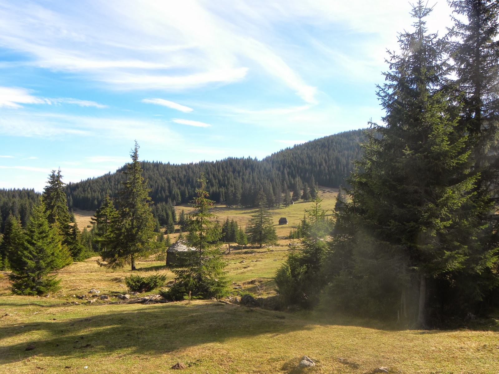 Munte, fotografie si nu numai: Muntii Hasmas - trasee spre Hasmasu Mare ...
