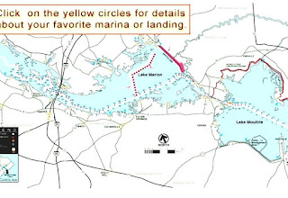Santee Cooper - Santee Cooper Lake Map