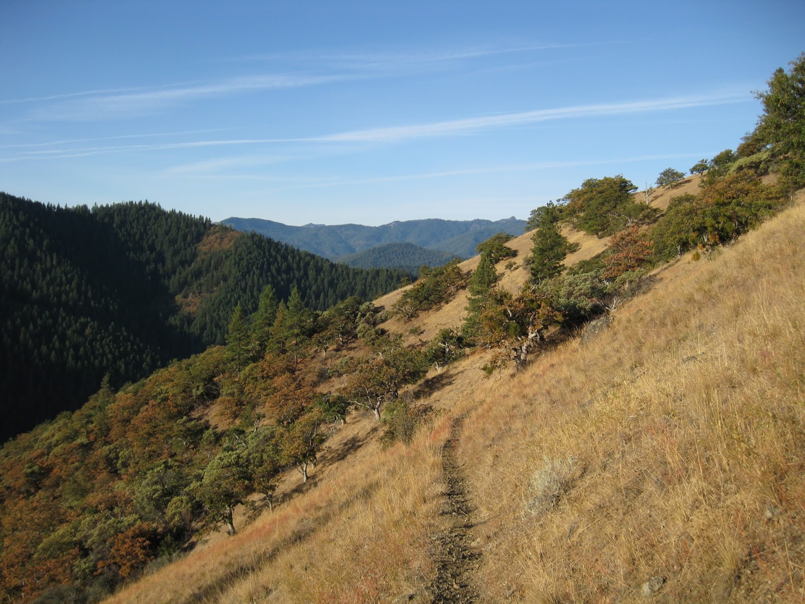 The Siskiyou Crest : ROGUE RIVER-SISKIYOU NATIONAL FOREST DECLARED A ...