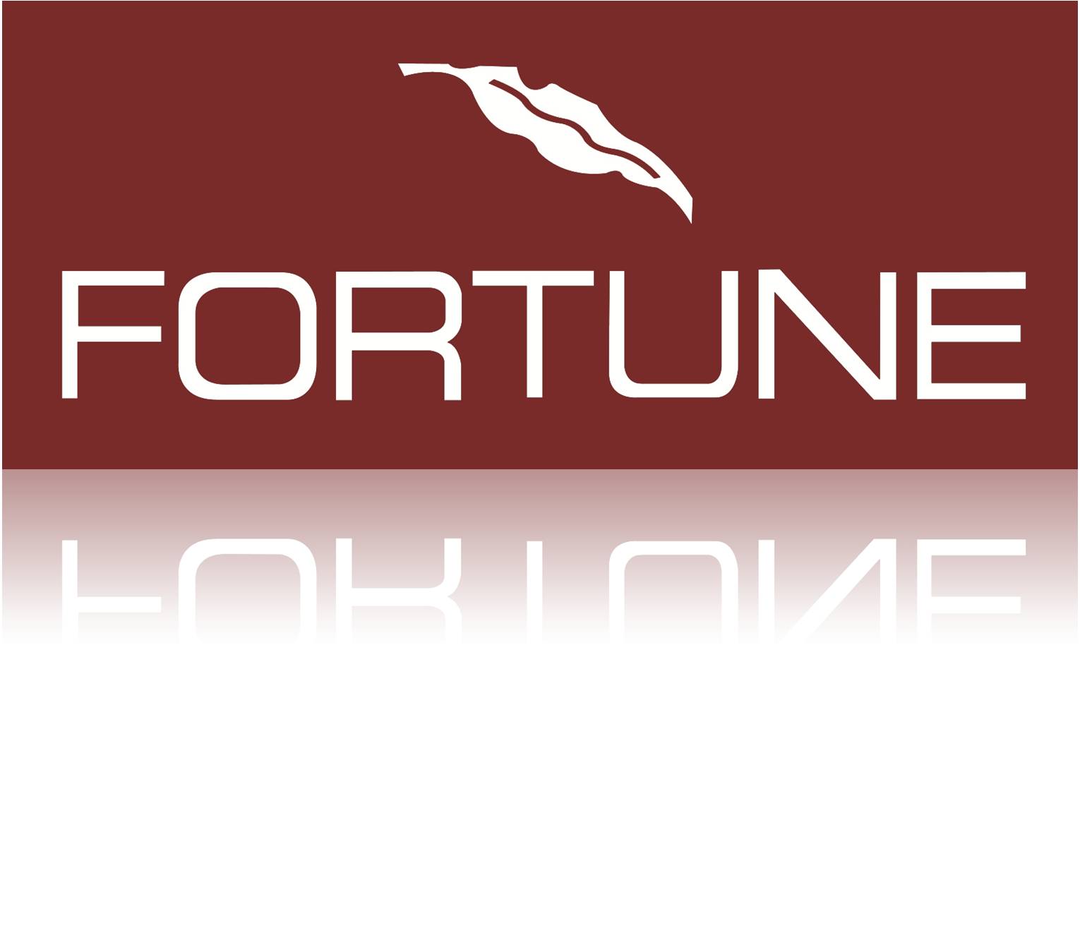 Fortune Stores: اتصل بنا