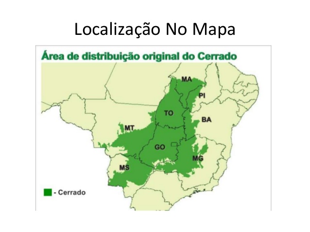 fazendas do cerrado: MAPA CERRADO