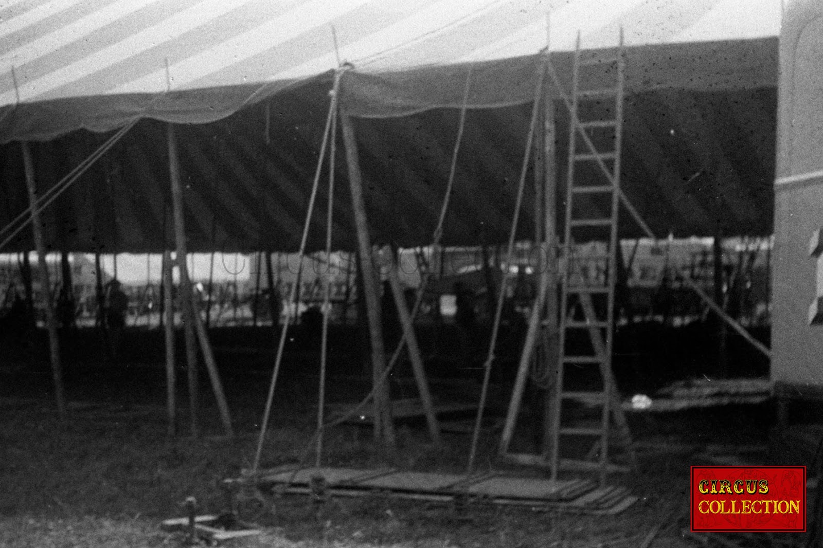 Circus -Collection: Du montage du chapiteau au spectacle, Cirque Pinder ...