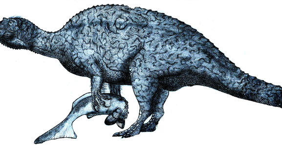 Cristatusaurus | Ikessauro