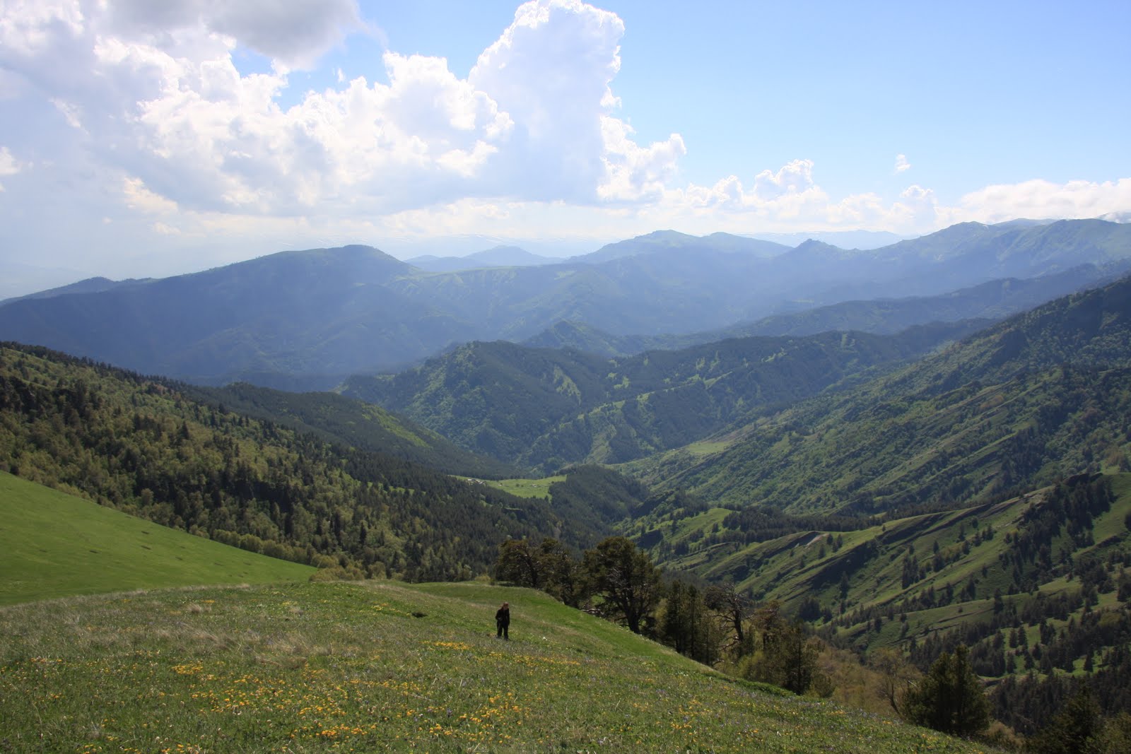 Over there and back again: Georgia