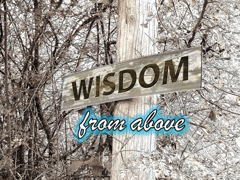 Rocky Road Devotions: Wisdom from Above