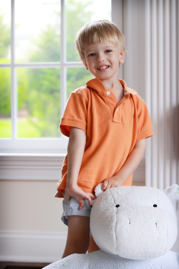 Andrea Finnegan Photography