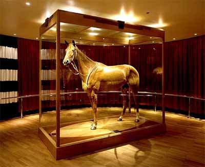 Yardy Yardy Yardy: Phar Lap - Ultimate Racehorse