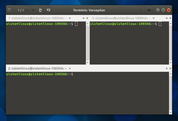 Terminix Nedir? Nasıl Kurulur? (Ubuntu/Linux Mint)