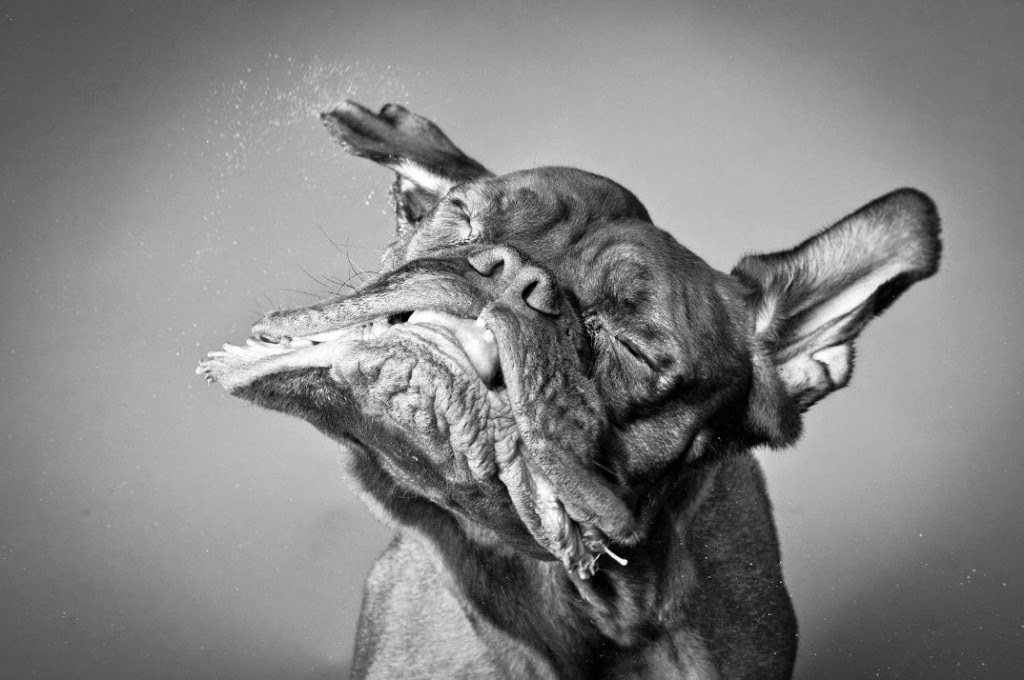 Claudio Tomassini: Seth Casteel