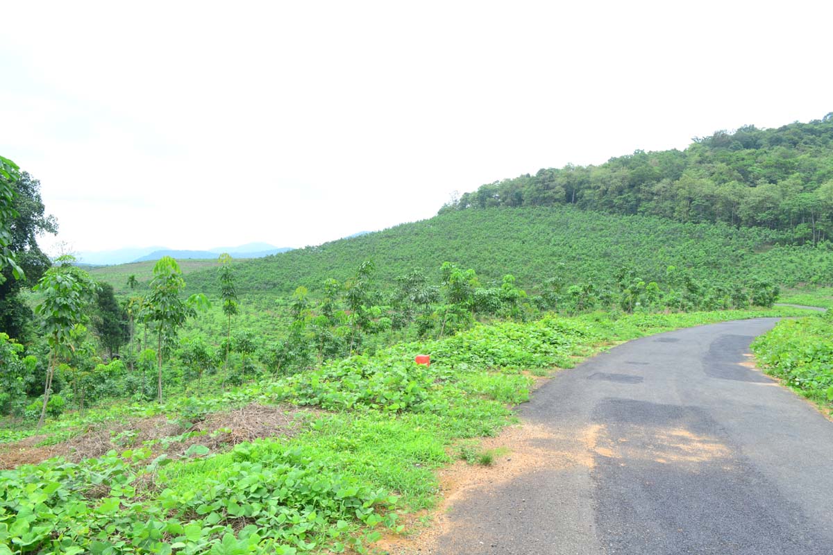 Venesh a v: Thaloopadam-Mooply,Chokkana estate-Vellikulanagara travelling.