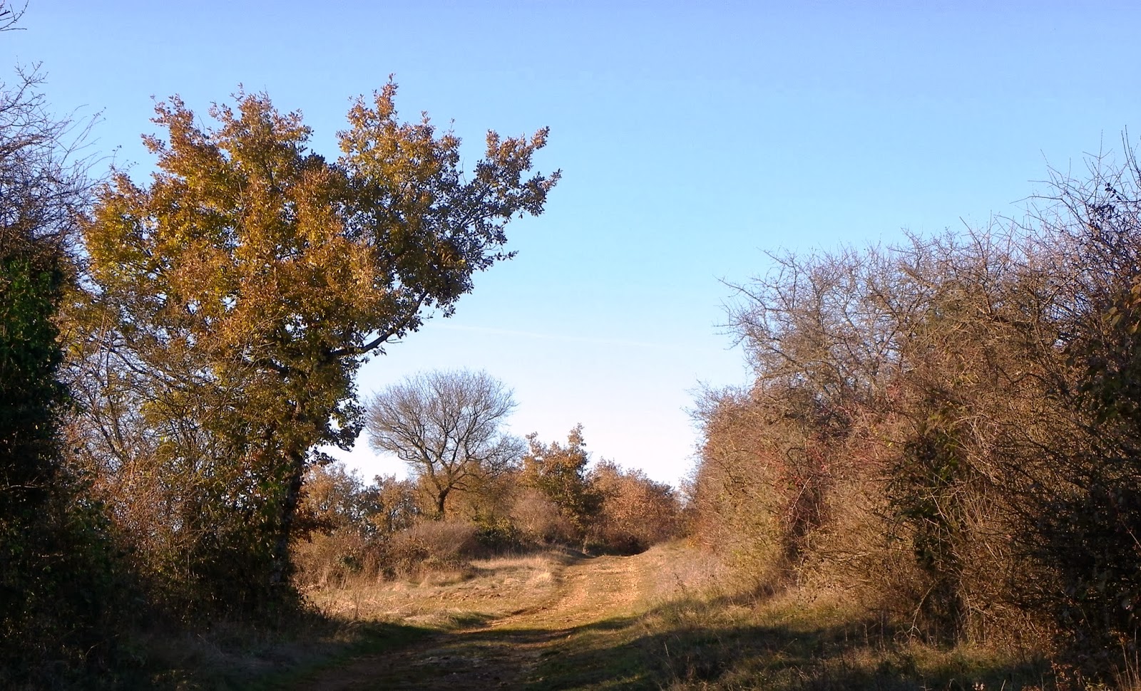 Nous, nos souliers...: Le tour de Trept