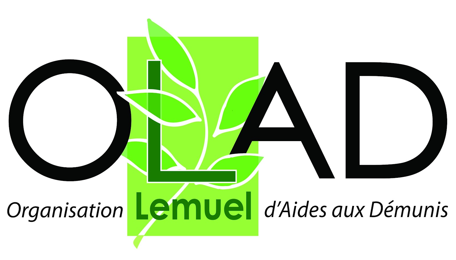 Lemuel Ministries: Update Letter: Changes