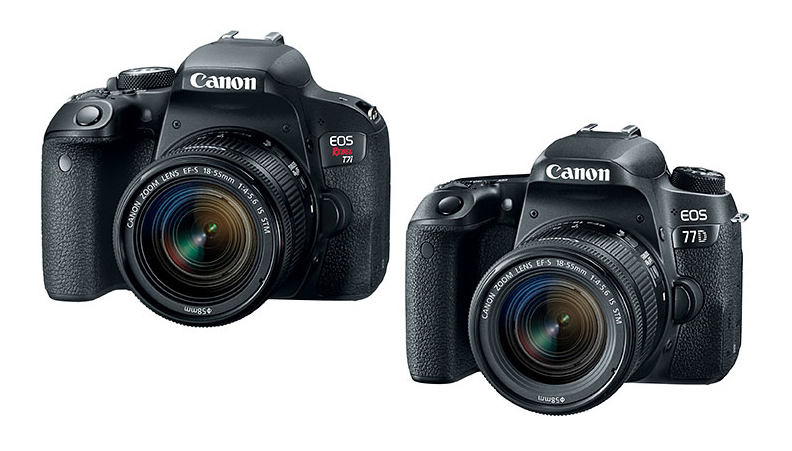 Michael Daniel Ho - The Wildlife Ho-tographer: Canon EOS-M6, EOS-77D ...