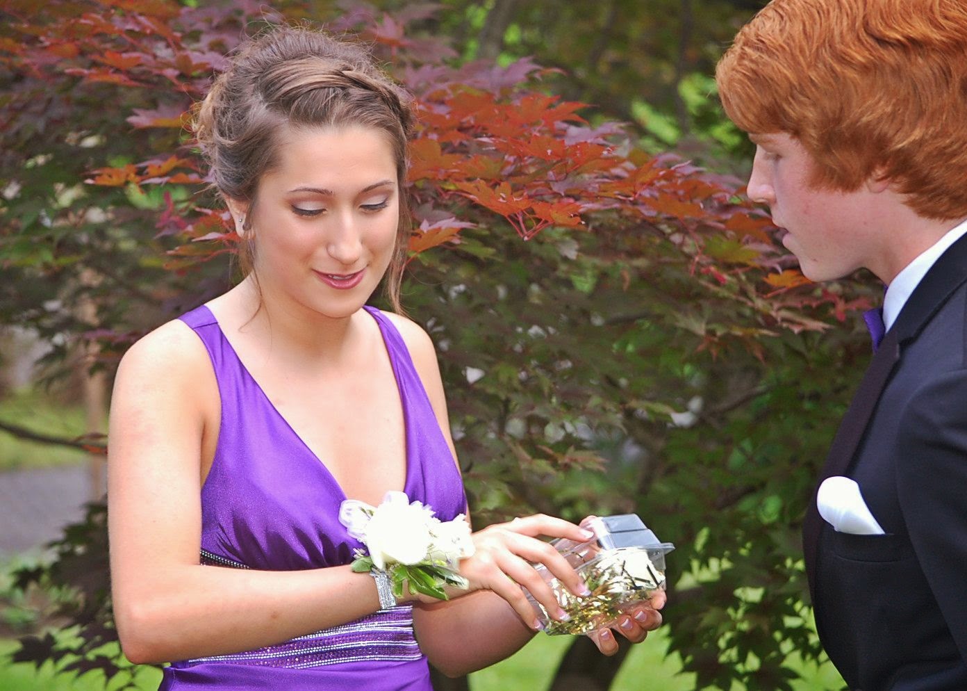 Crickleberry Cottage Conversations . . .: Senior Prom Night 2014