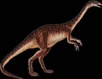 DinoJuan: Ammosaurus
