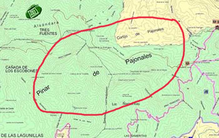 Mi Gran Canaria: PAJONALES (ARTENARA, MOGAN, STA. LUCIA DE T. Y TEJEDA)