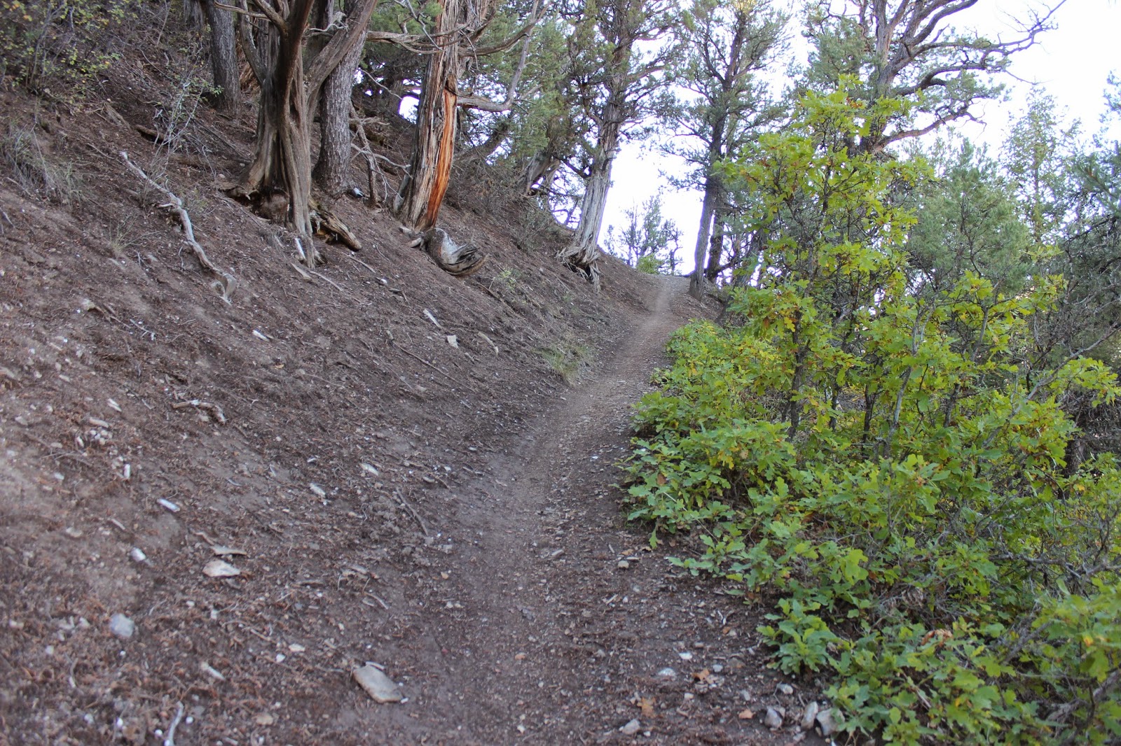 gjhikes.com: Scout Trail