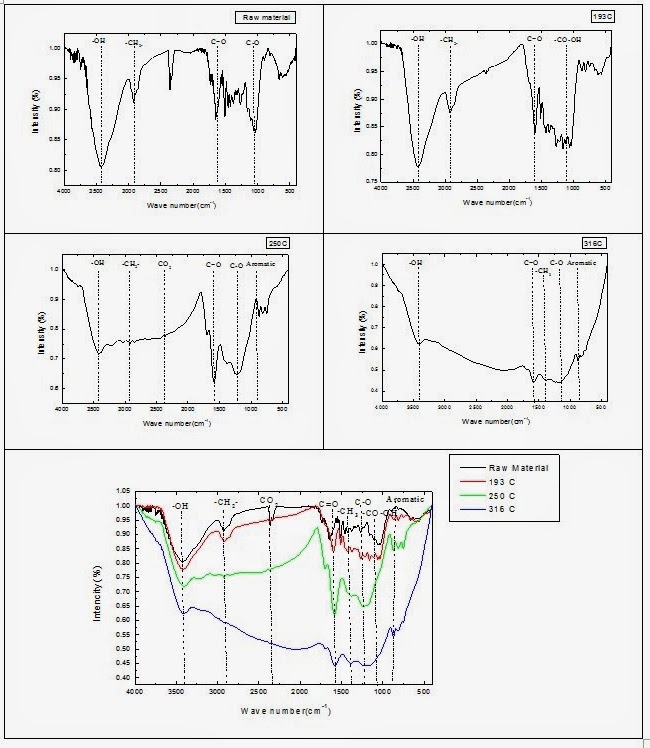 Influence of biochar in seed germination and growth rate (part 2)