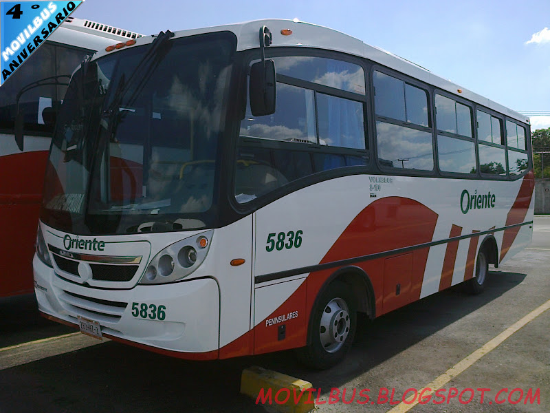 VOLKSBUS 8-150 ORIENTE