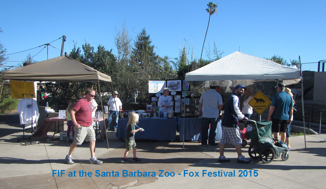 Friends of the Island Fox: Channel Island Fox Awareness Day at Santa ...