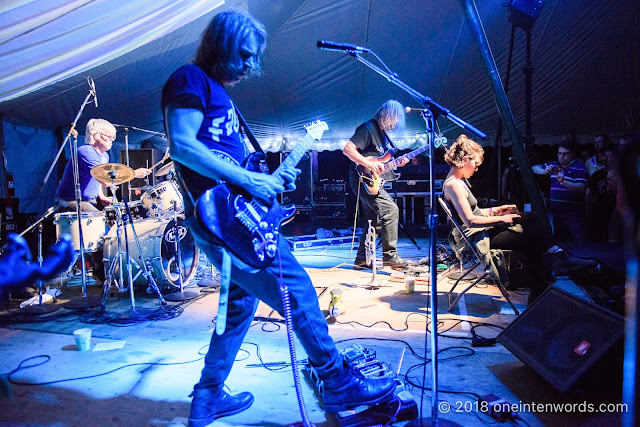 one in ten words: Hillside 2018: Day 2: faUSt - Concert Photos