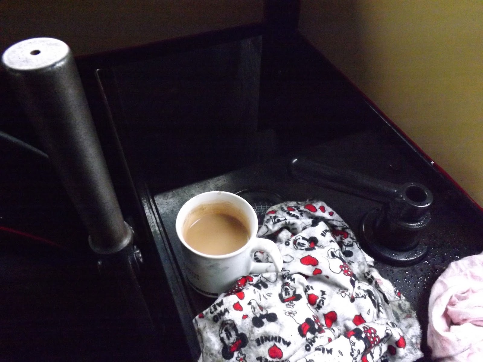 Sam's World: Statfold: A Day with "Howard"...