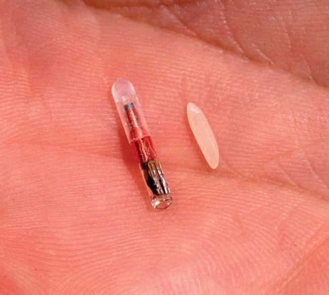 300 mil pessoas já implantaram biochips em seus corpos - ADKOnline ...