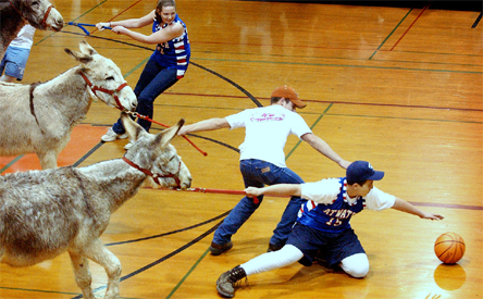 Four legged friends (and enemies): Ohio: The Dark Side of Donkey Basketball