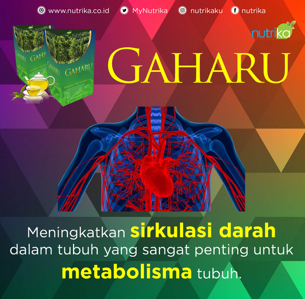 Khasiat Dan Manfaat Daun Gaharu Nutrika Bagi Kesehatan Juga Pengobatan ...