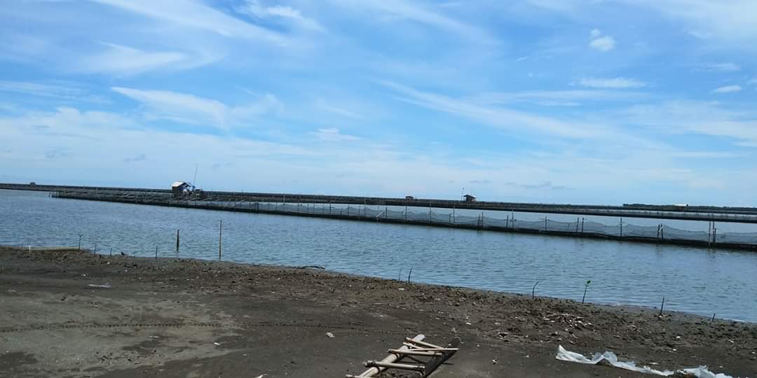 PANTAI TIRIS PABEAN INDRAMAYU - Indramayu Tradisi