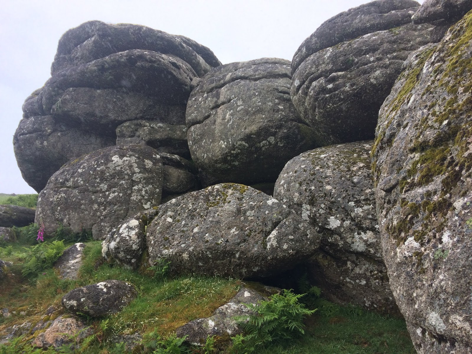 Max Piper - Tor Bagger: Dartmoor: The Tors and Rocks on Easdon Down ...